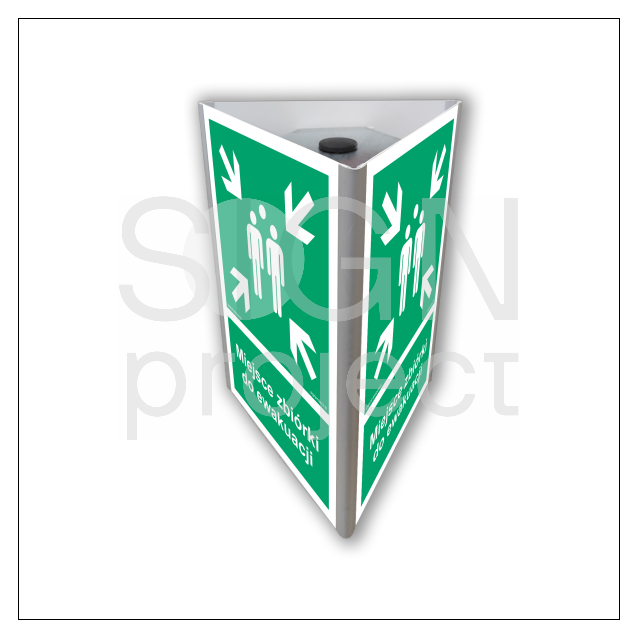 AF707 Muster area for evacuation (3D to post) 35 x 52,5 cm \ PN - płyta ...